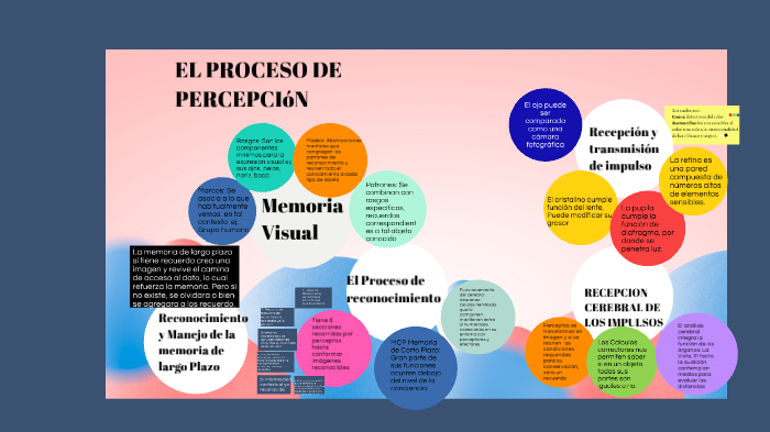 EL PROCESO DE PERCEPCION by Karen Godoy on Prezi