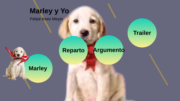 Marley y Yo_Kees Meyer by Felipe Kees Meyer on Prezi
