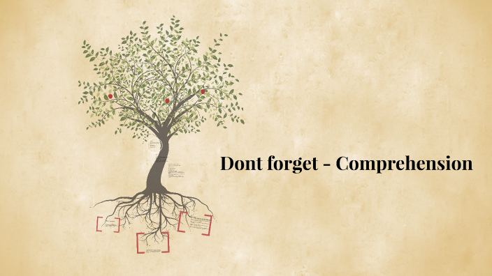 Dont forget - Comprehension by sarah bottomley on Prezi