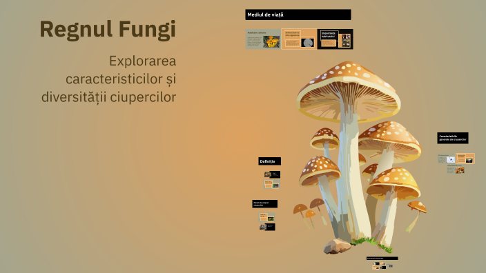 Regnul Fungi by Mescanic Denisa on Prezi