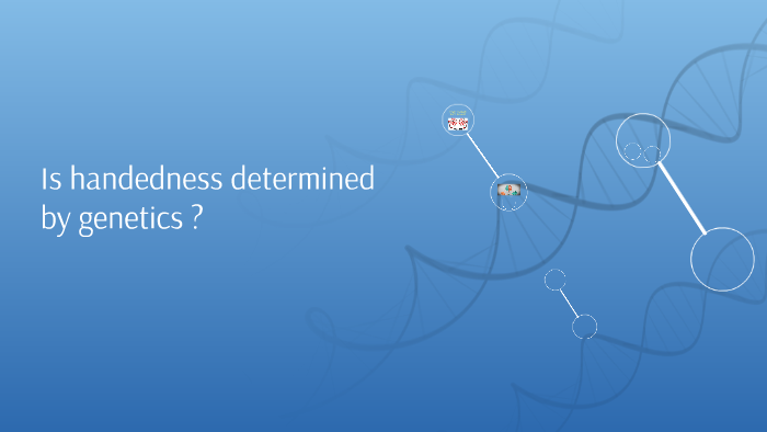 Is handedness determined by genetics ? by Heidi Zhu on Prezi