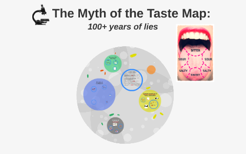 The Myth of the Taste Map by Sam Sagartz on Prezi