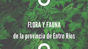 Flora y Fauna de Entre Ríos by Florencia Padilla on Prezi Design