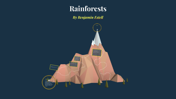 Rainforests by Benjamin Estell on Prezi