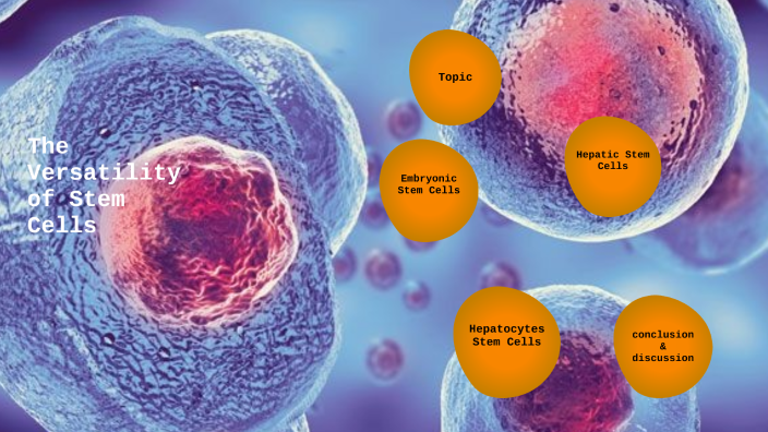 The Versatility of Stem Cells by Rawlee Halsey on Prezi