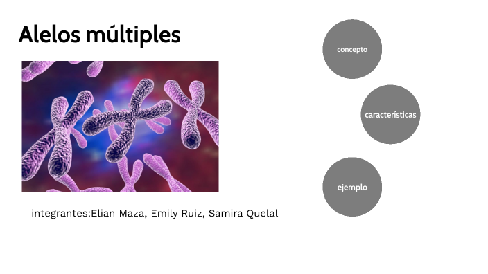 Alelos multiples by Elian Maza on Prezi