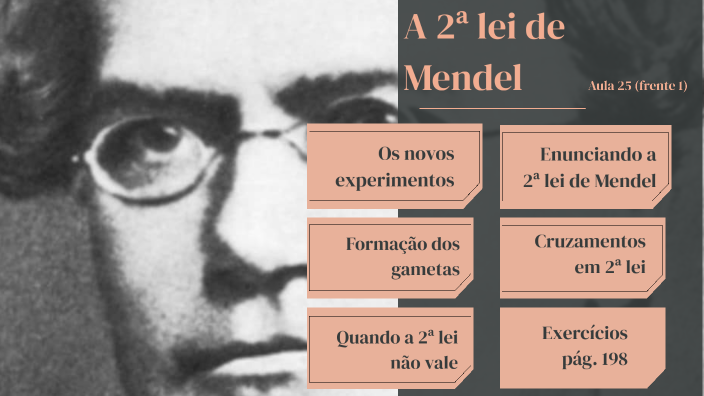 2ª lei de Mendel (2º COL AVIARARAS) by Otávio Sírio on Prezi