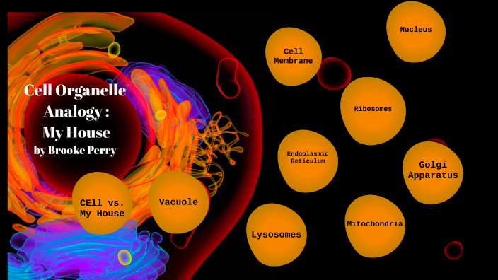 Cell Organelle Analogy Project by Brooke Perry on Prezi