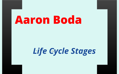 Aaron Boda - Life Cycle Stages by Aaron Boda on Prezi