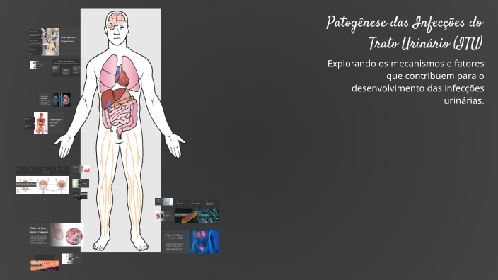 Patogênese das Infecções do Trato Urinário (ITU) by DORALICE CONCEIÇÃO ...