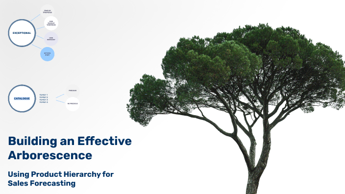 Building an Effective Arborescence by Ornella Cutaio on Prezi