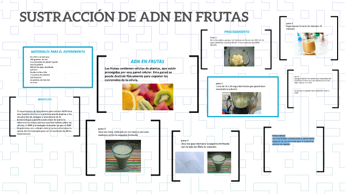 SUSTRACCION DE ADN EN FRUTAS by karol valencia on Prezi