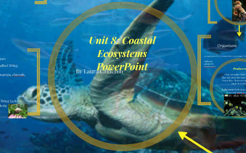 Unit 8: Coastal Ecosystems PowerPoint by Laura Calderon on Prezi