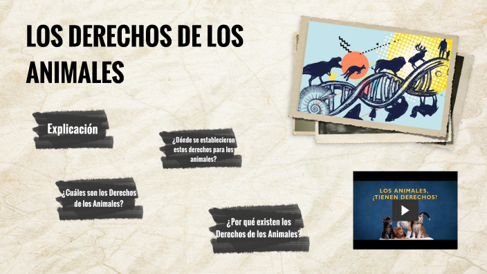 LOS DERECHOS DE LOS ANIMALES by Dayra Gisell MUÑOZ BUSTAMANTE on Prezi