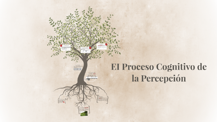 EI proceso cognitivo de la percepción by Rod Bendezu Perez on Prezi