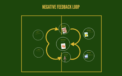 RECEPTOR by Colin Galvin on Prezi
