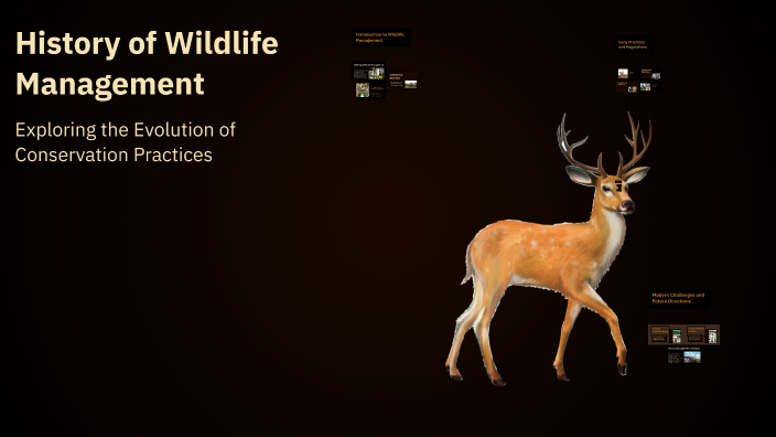 History of Wildlife Management by Asraf Lidasan on Prezi