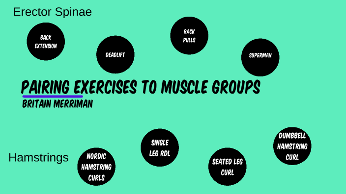 Pairing Exercises To Muscle Groups by Britain Merriman on Prezi