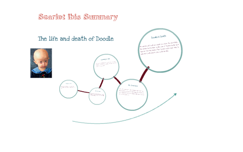 Scarlet Ibis Summary by Dillon Johnson on Prezi
