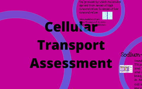 Cellular Transport Assessment by Heidi Fredrickson