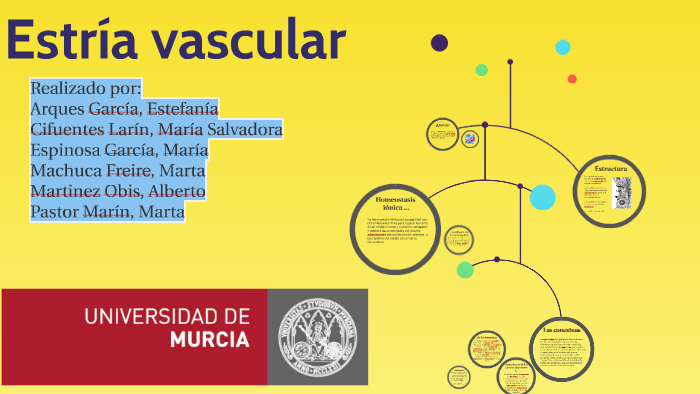 Estría vascular by Alberto Martinez Obis on Prezi