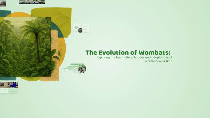 The Evolution of Wombats: Nature's Remarkable Creatures by Sergio Perez ...