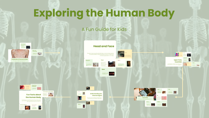 Exploring the Human Body by erica mcdaniel on Prezi