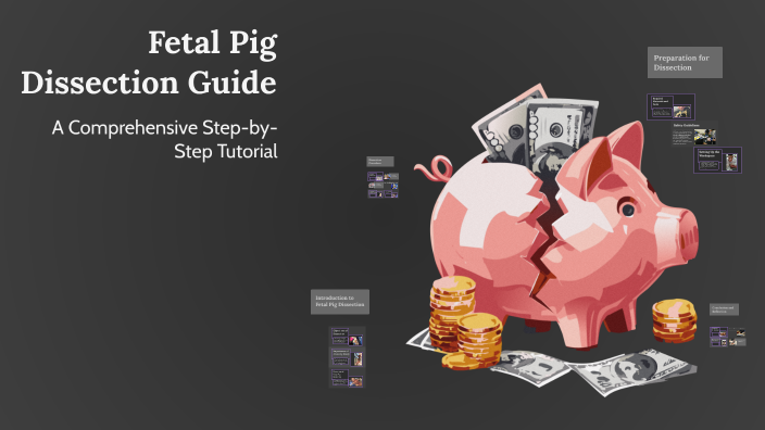 Fetal Pig Dissection Guide by Elijahwahn Sneed on Prezi
