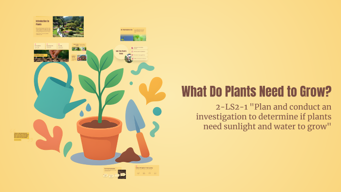 What Do Plants Need to Grow? by Jessica Bussell on Prezi
