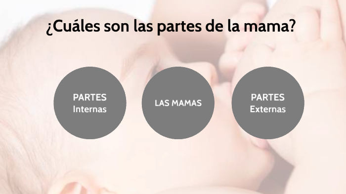 Partes de la mama by Maria Eugenia Agnello on Prezi