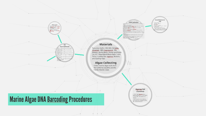 Marine Algae DNA Barcoding Procedures by Elizabeth Lee on Prezi
