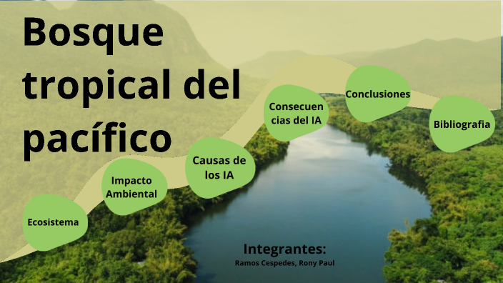 Bosque tropical del pacífico by Jackeline Quispe on Prezi