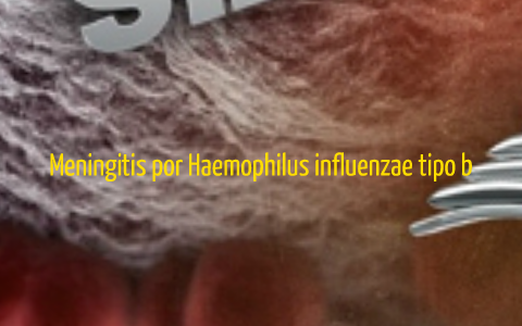 Meningitis por Haemophilus influenzae tipo b by Luz Chaparro on Prezi