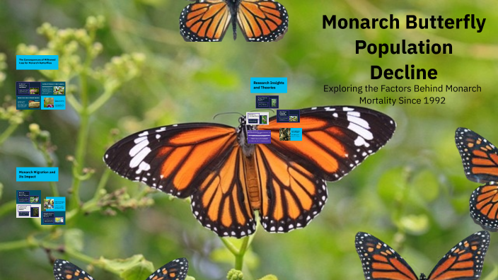 Monarch Butterfly Population Decline by Reid Faulkenburg on Prezi