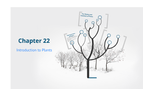 Chapter 22 Intro to Plants by Zachary Barrett on Prezi