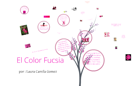 El color fucsia by Laura Gomez on Prezi