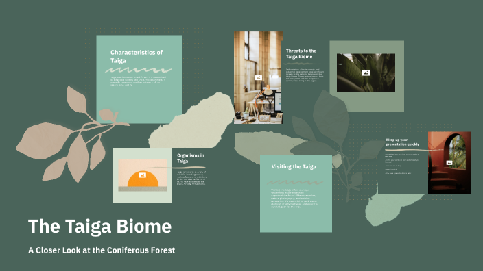 The Taiga Biome by Zariah Thomas on Prezi