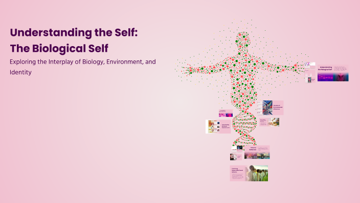 Understanding the Self: The Biological Self by Lyrrah on Prezi