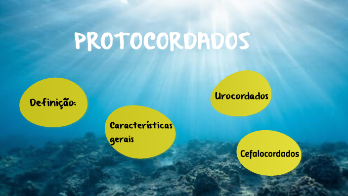 protocordados by Roberta Gomide on Prezi