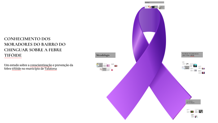 CONHECIMENTO DOS MORADORES DO BAIRRO DO CHINGUAR SOBRE A FEBRE TIFÓIDE ...