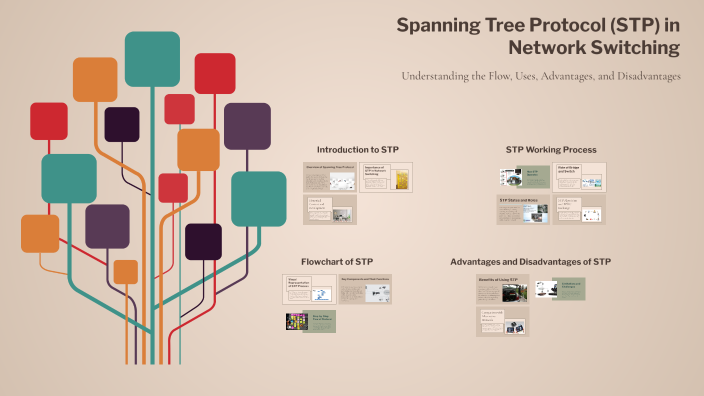 Spanning Tree Protocol (STP) in Network Switching by Suhani Samudrala ...