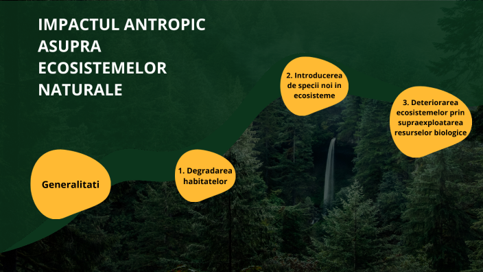 Impactul antropic asupra ecosistemelor naturale by Renata Tiffany Toth ...