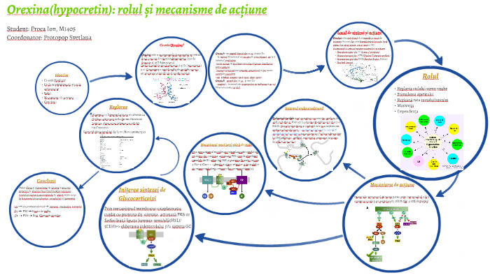 OREXIN by Proca Ion on Prezi