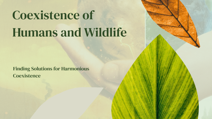 Coexistence of Humans and Wildlife by sehej preet on Prezi
