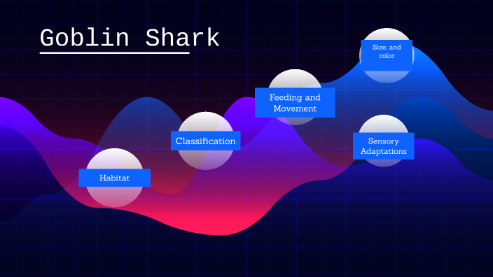 Goblin shark by ronan thompson on Prezi