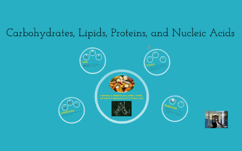 Carbohydrates, Lipids, Proteins, and Nucleic Acids by Nicole Jones on Prezi