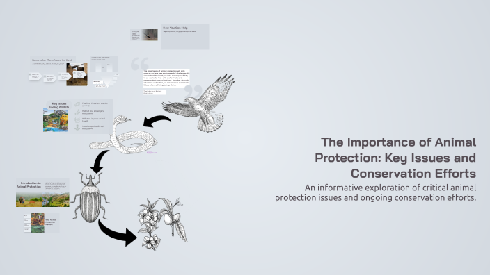 The Importance of Animal Protection: Key Issues and Conservation ...