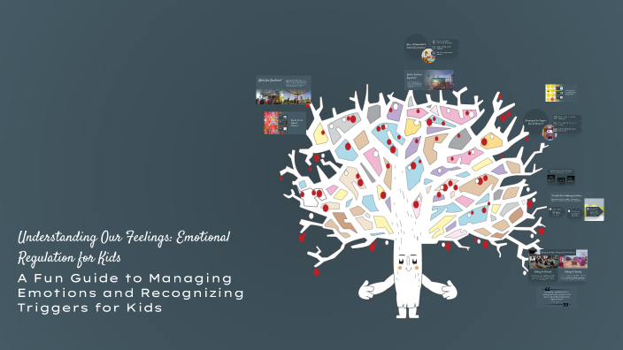Understanding Our Feelings: Emotional Regulation for Kids by Caitlin ...