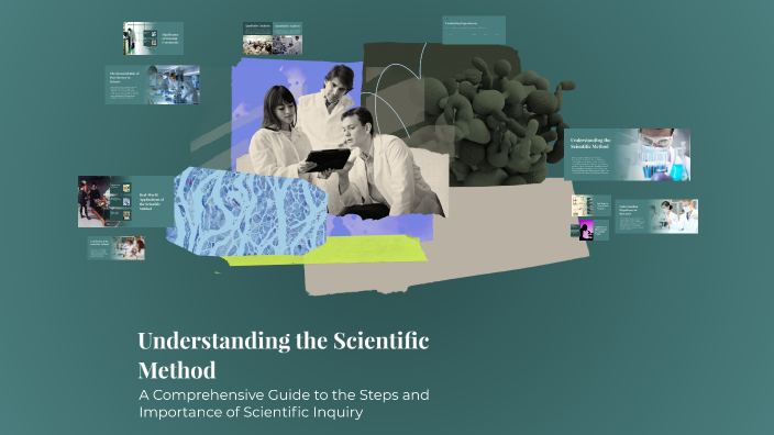 Understanding the Scientific Method by Дарья Мальцева on Prezi