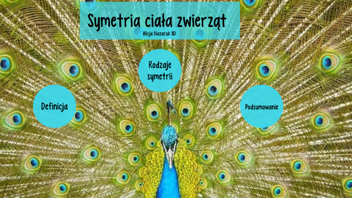 Biologia-symetria zwierząt by Alicja Nazaruk on Prezi